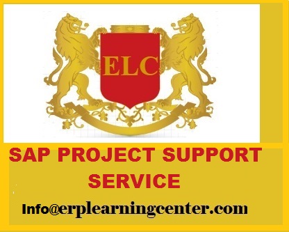 ERP Learning online India || ERP learning course India