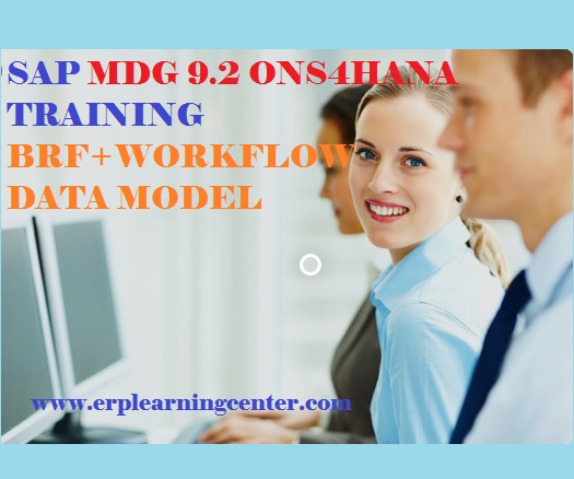 ERP Learning online India || ERP learning course India